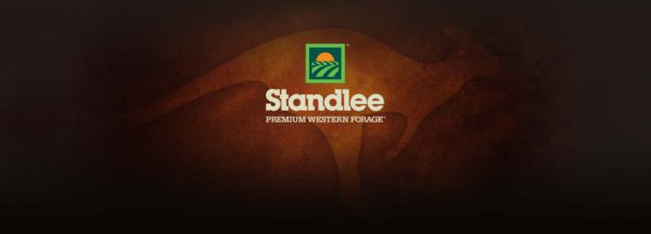 Don’t Miss Clinton at the NFR Next Month | Downunder Horsemanship