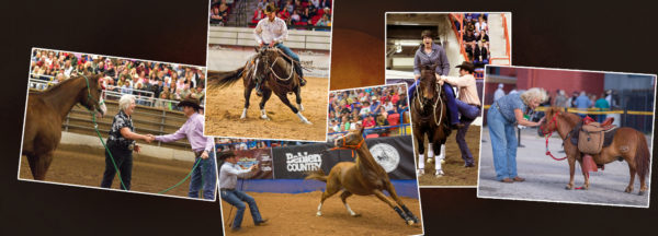 Here We Come, Harrisburg | Downunder Horsemanship
